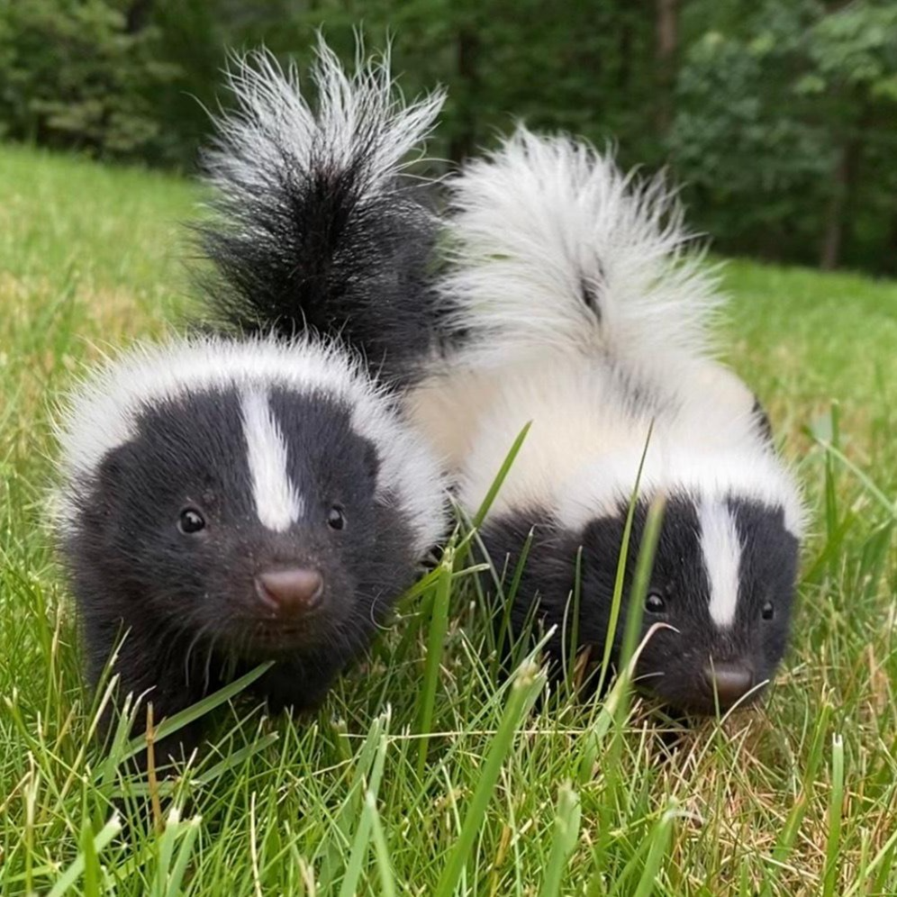 2025 WRAM Conference and Annual Meeting Event Website